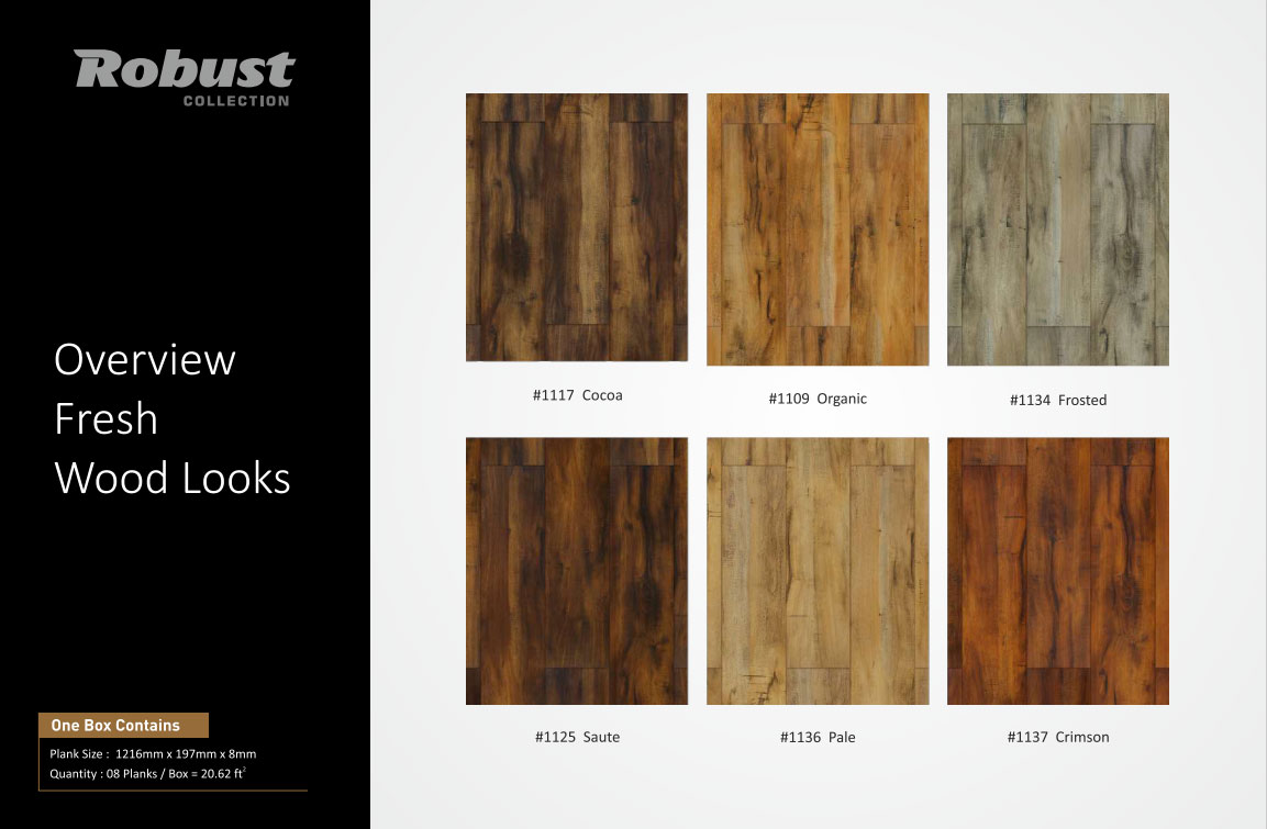 Robust Collection - DP ENTERPRISES