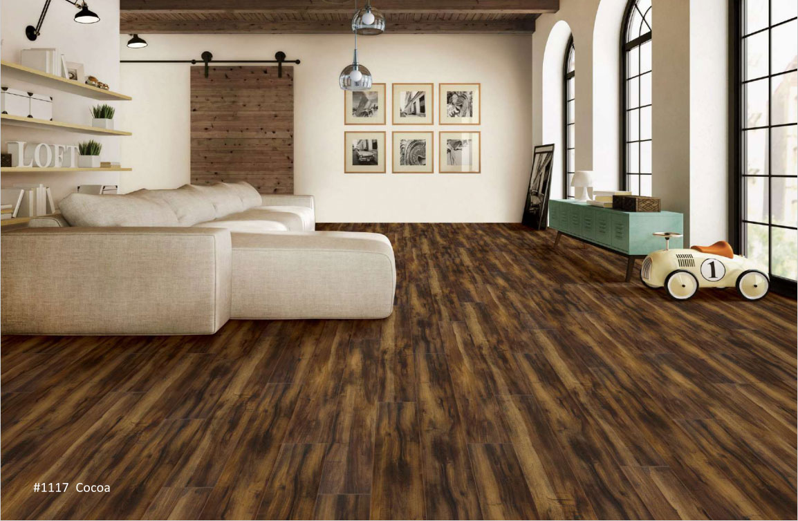 Robust Collection - DP ENTERPRISES