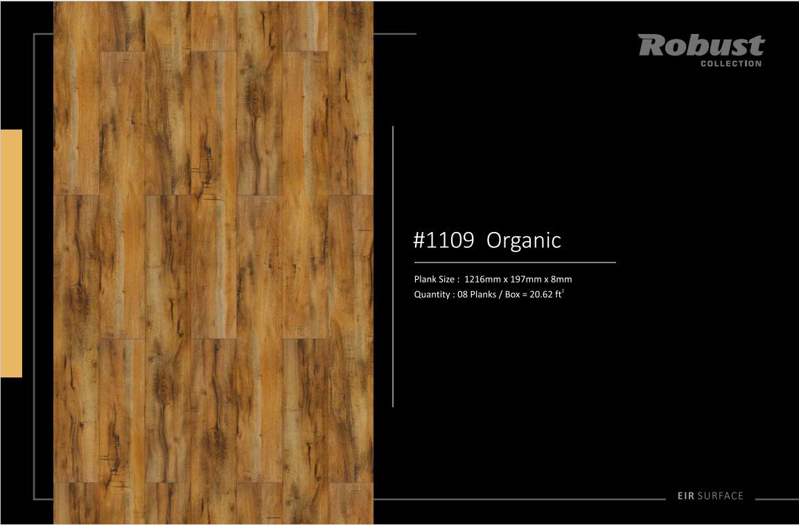 Robust Collection - DP ENTERPRISES