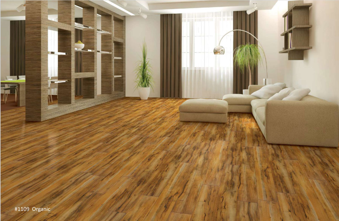 Robust Collection - DP ENTERPRISES